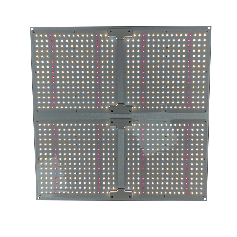 Samsung LED Quantum Panels vs. Traditional LED Grow Lights in 2026 What ...